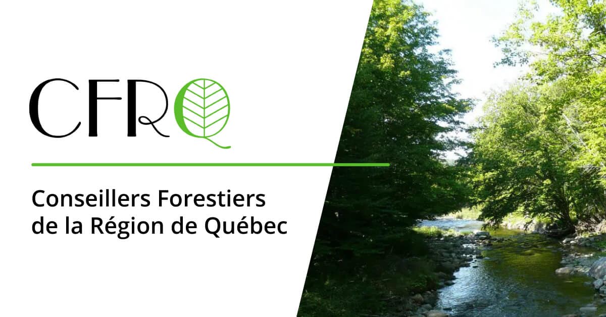CFRQ – Conseillers Forestiers de la Région de Québec